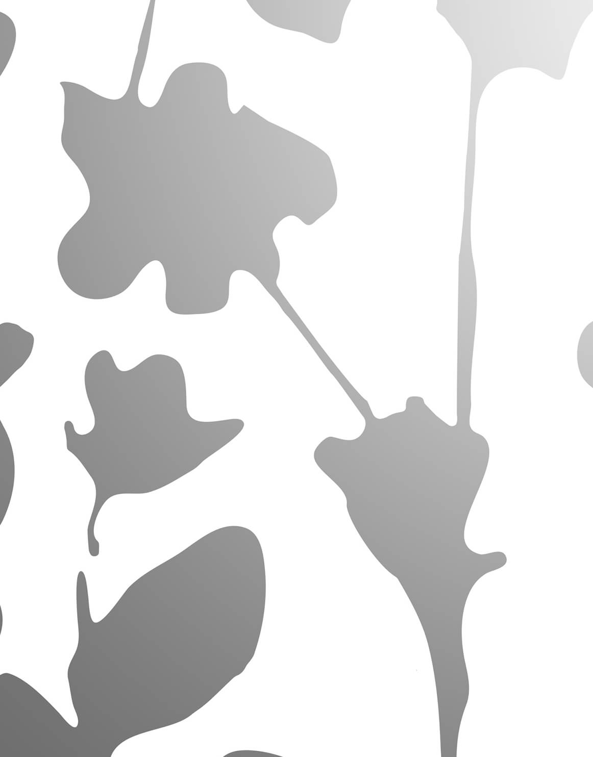 Graphic Pattern | Muse | 3form