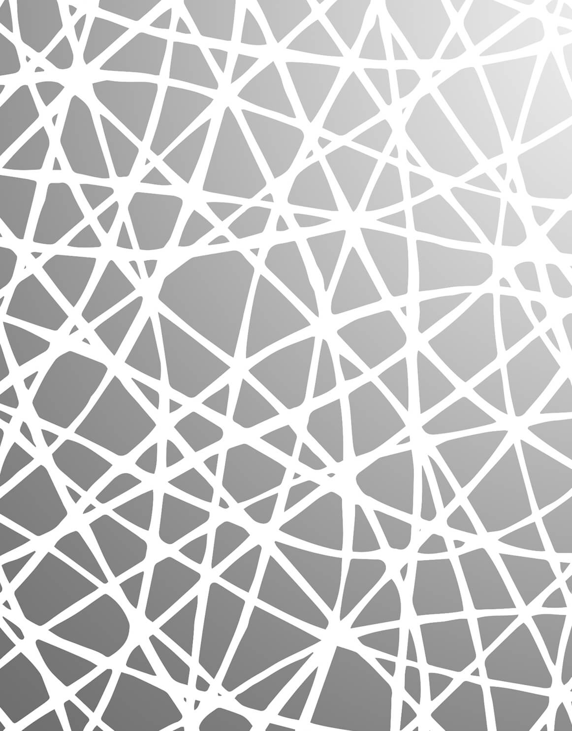 Graphic Pattern | Web | 3form