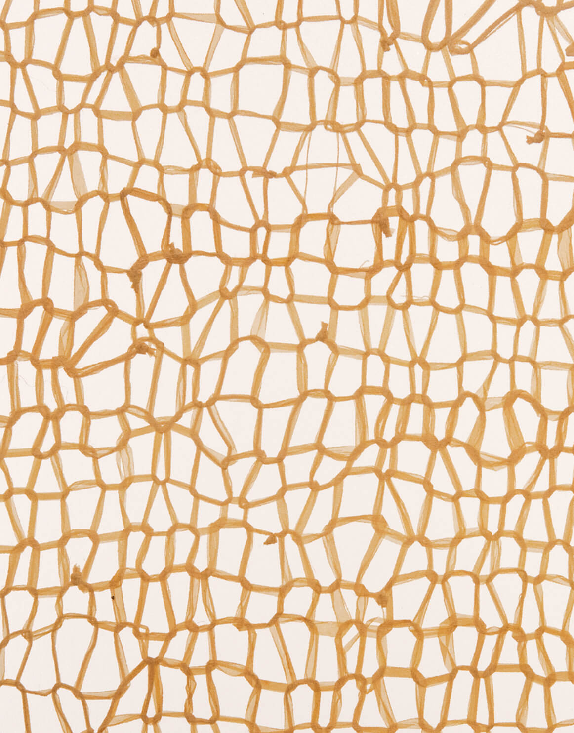 3form | Interlayers | Woven Raffia