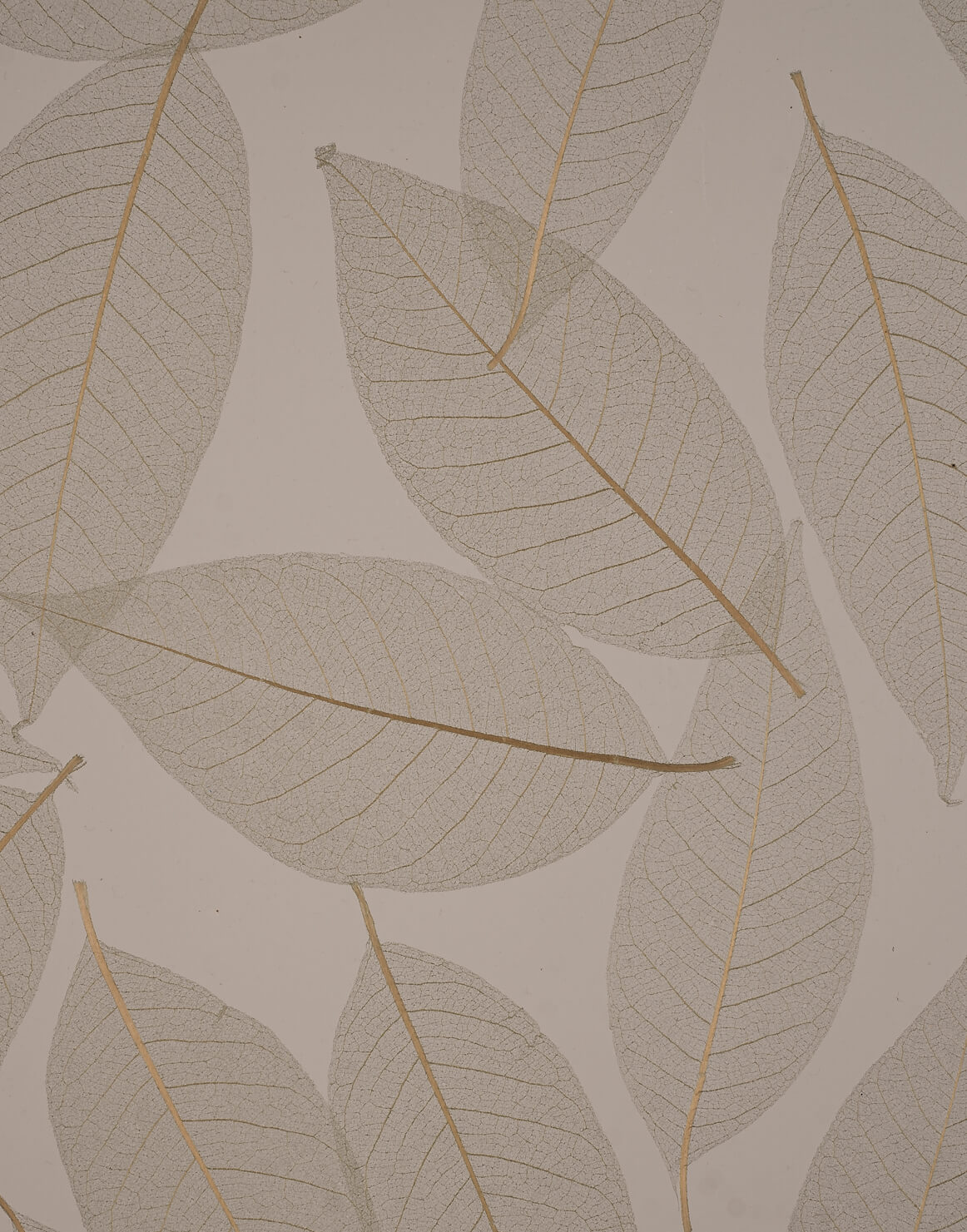 3form | Interlayers | Fossil Leaf Coastline