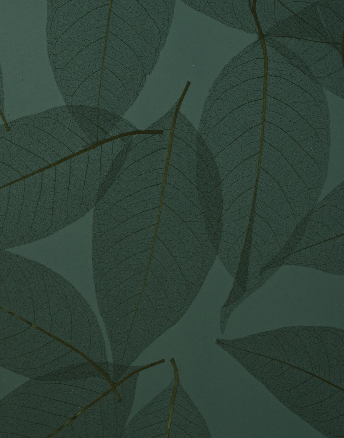 3form | Interlayers | Fossil Leaf Iceberg