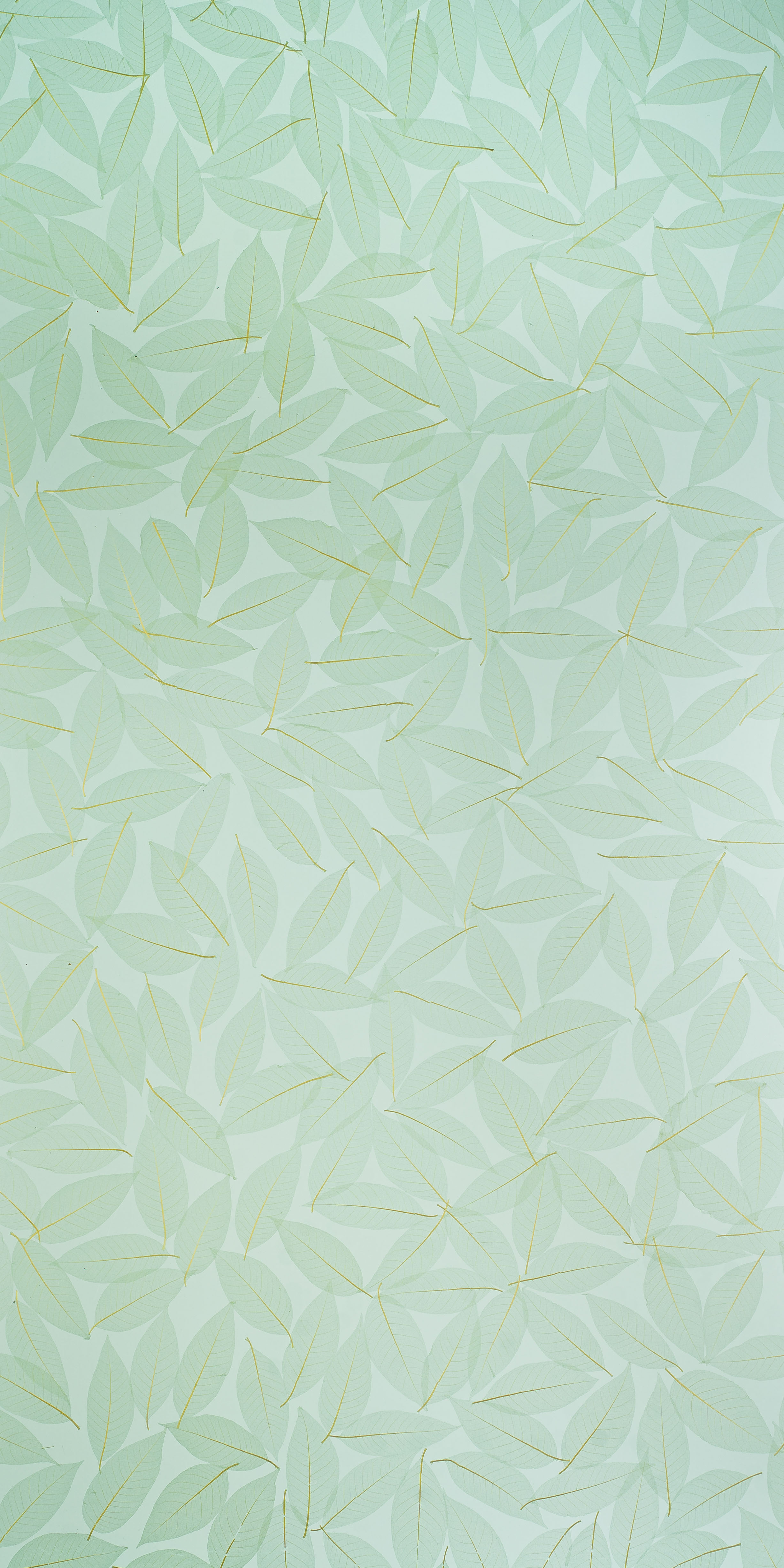 Interlayers | Fossil Leaf | 3form