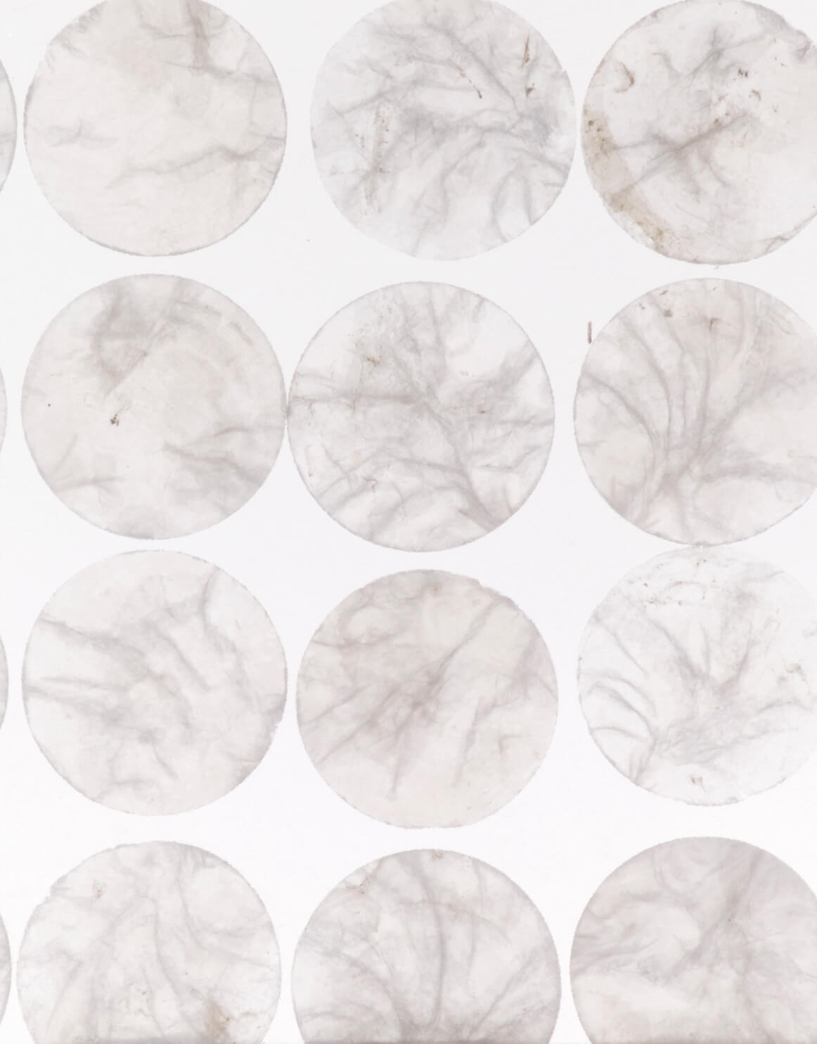 3form | Interlayers | Capiz Full Straight