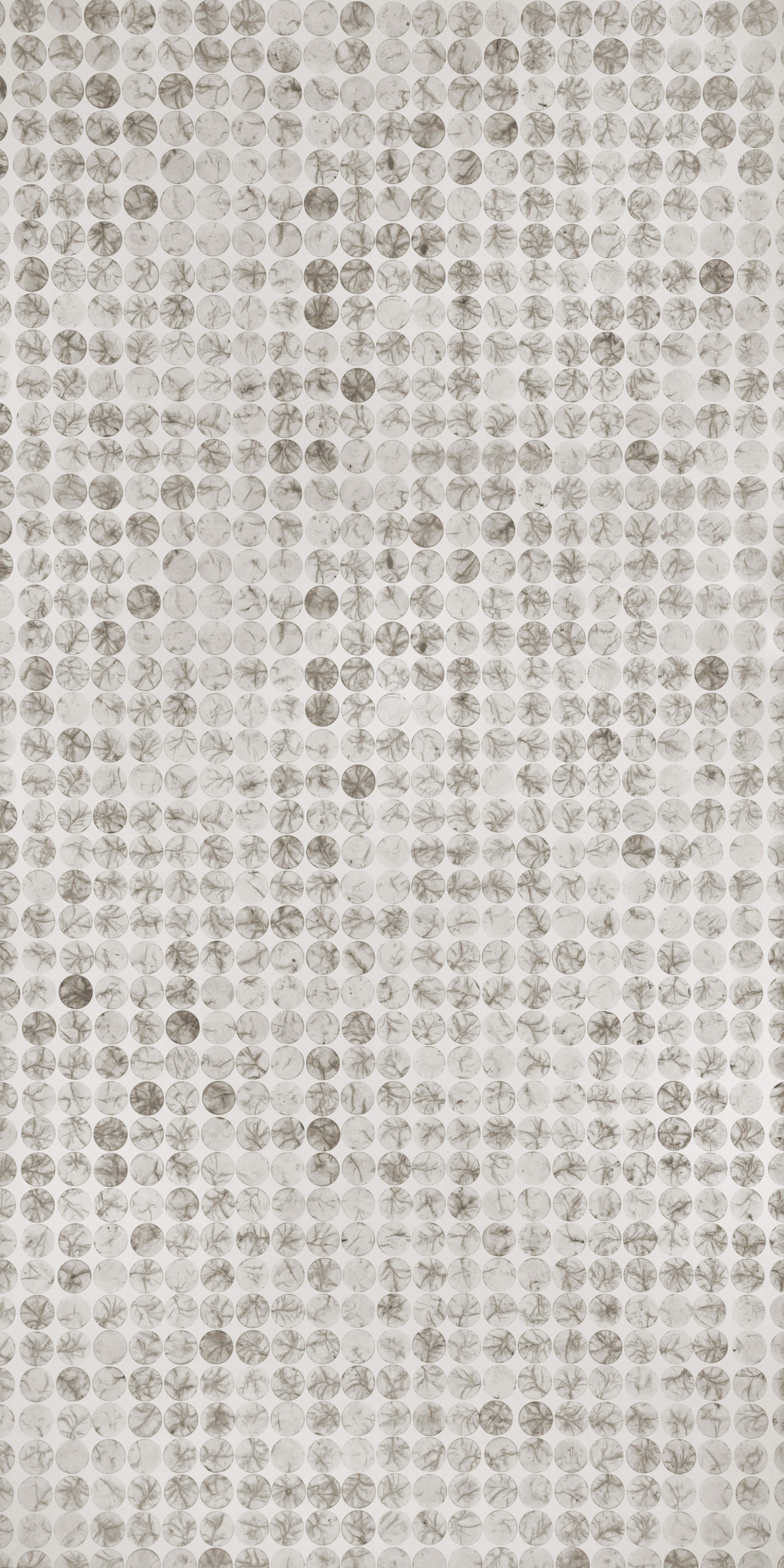 Interlayers | Capiz | 3form