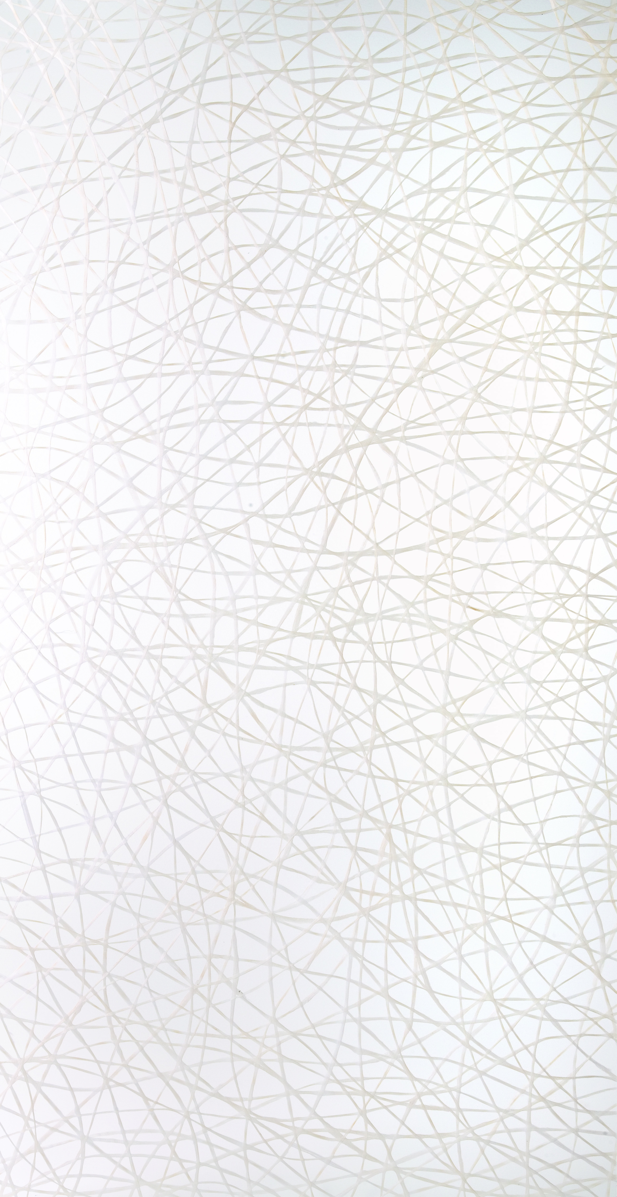 Interlayers | Connection | 3form