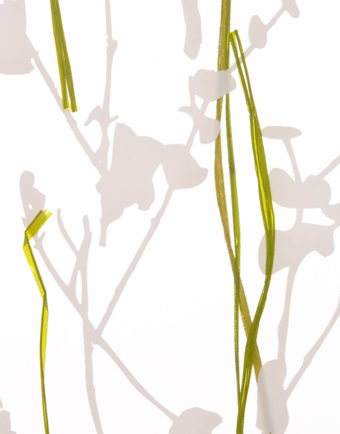 3form | Interlayers | Fairy Tale